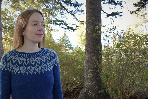 Working on a sweater and I'm loving the floats! : r/knitting