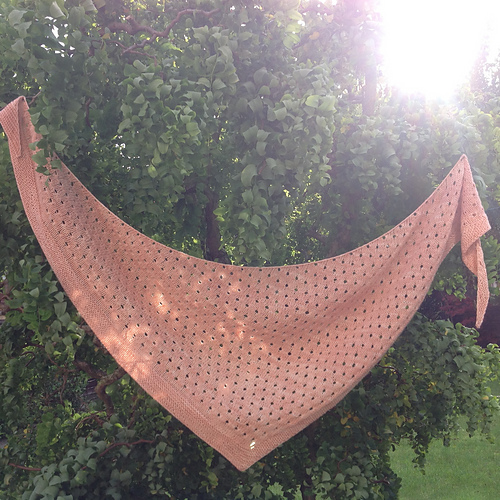 (FO) Gold Dust Shawl in Madelinetosh Tosh Sock (spicewood) modeled by ...