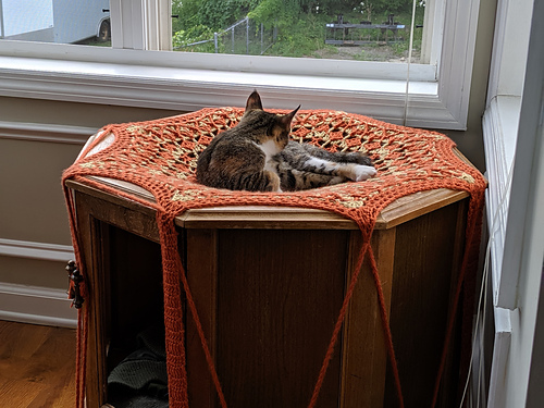 Cat table!! A cat bed and hidey hole made of an old little table I ...