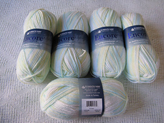 Ravelry: Plymouth Yarn Encore Colorspun Worsted