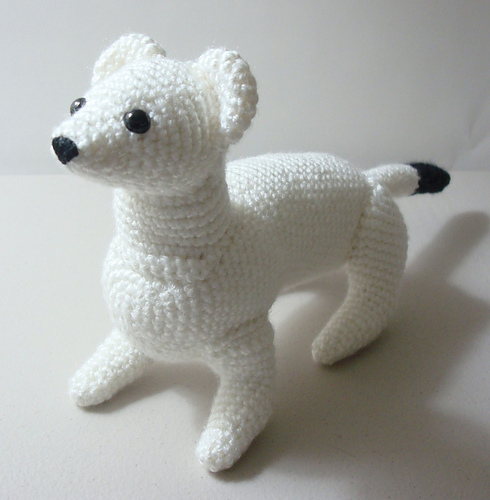 One of my favourite ever projects. Mongoose bride and Komodo groom for ...