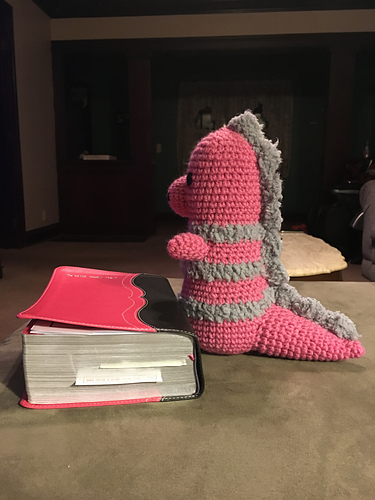 I finally picked a base design for my weighted stuffies and 😍😍 : r/crochet